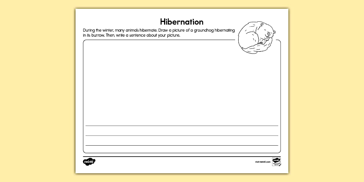 Hibernation Drawing | Groundhog Day Worksheet | Twinkl USA