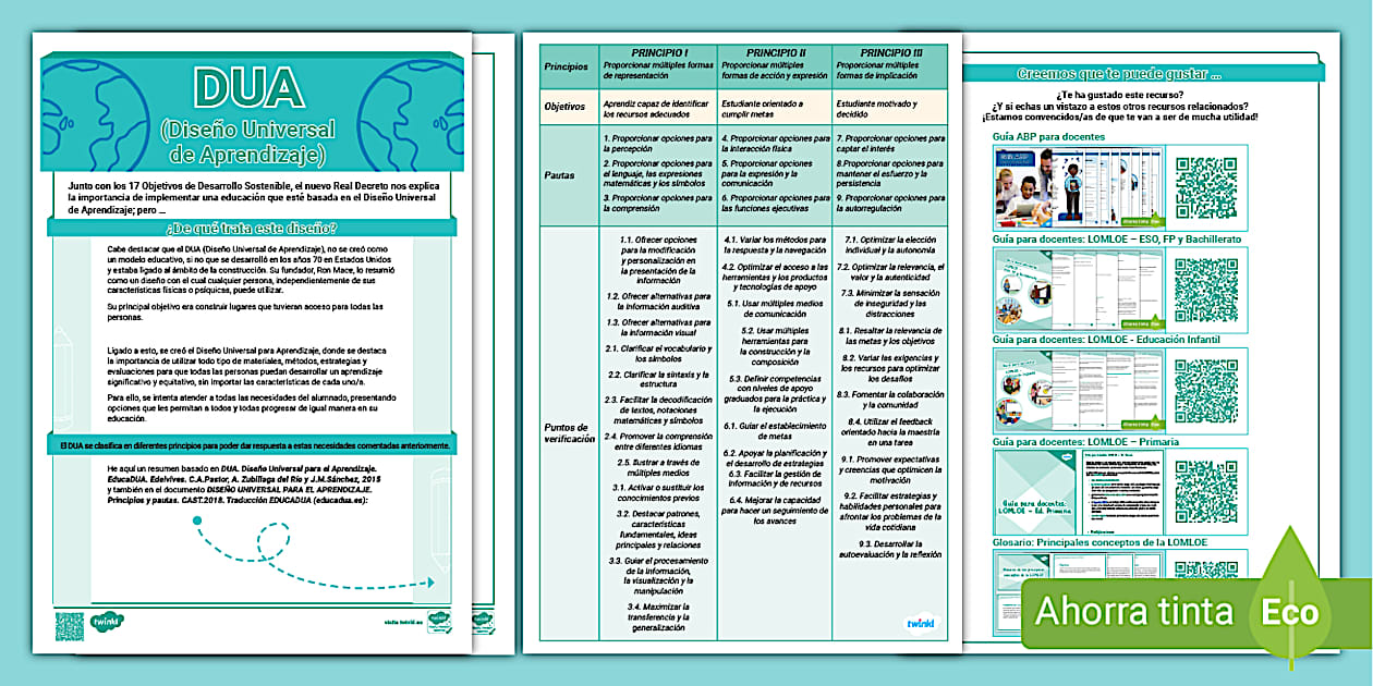 Hoja informativa sobre el DUA (creat de profesori) - Twinkl