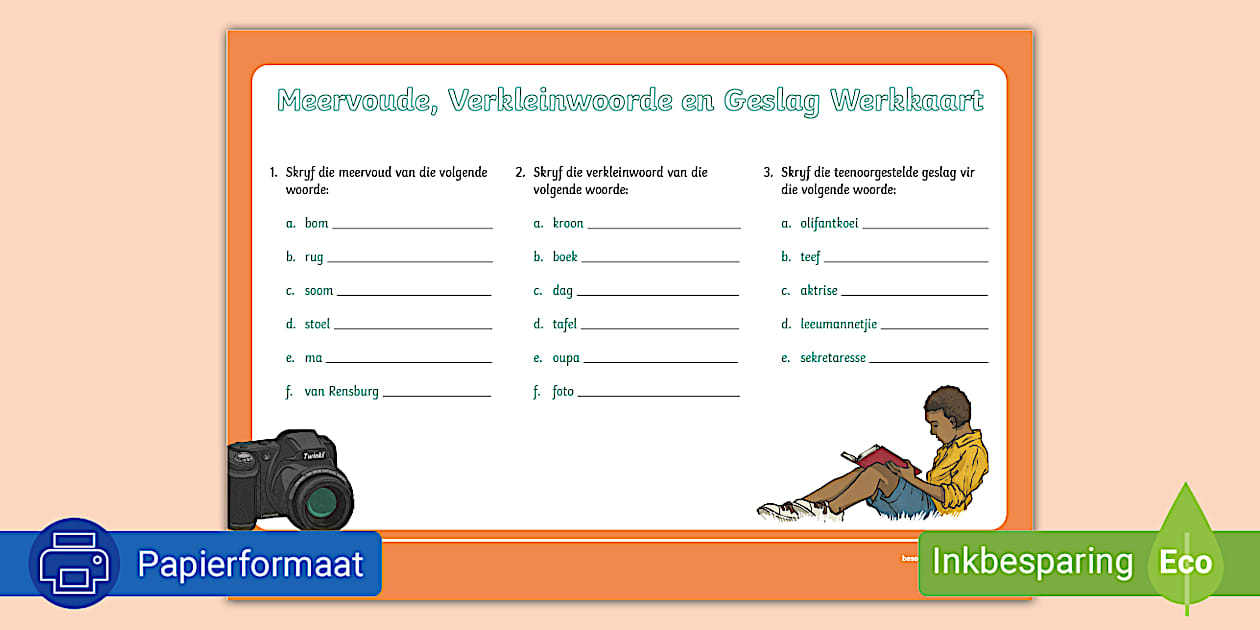 Meervoude, Verkleinwoorde en Geslag Werkkaart (teacher made)