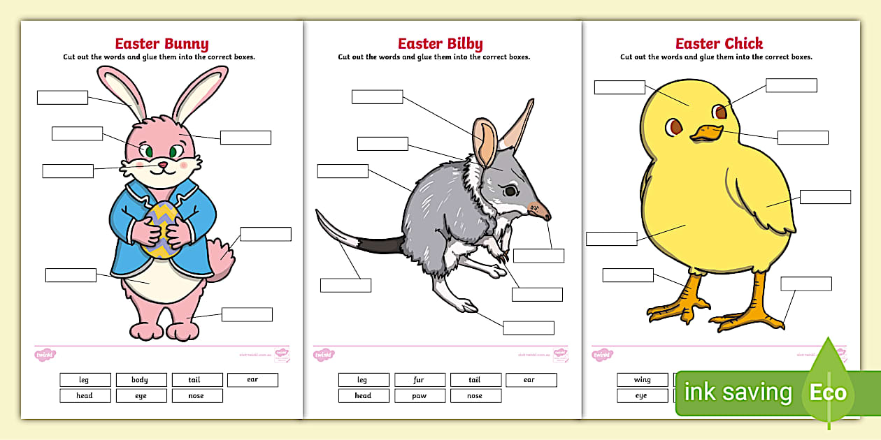 Body Parts Labelling Easter Activity Pack