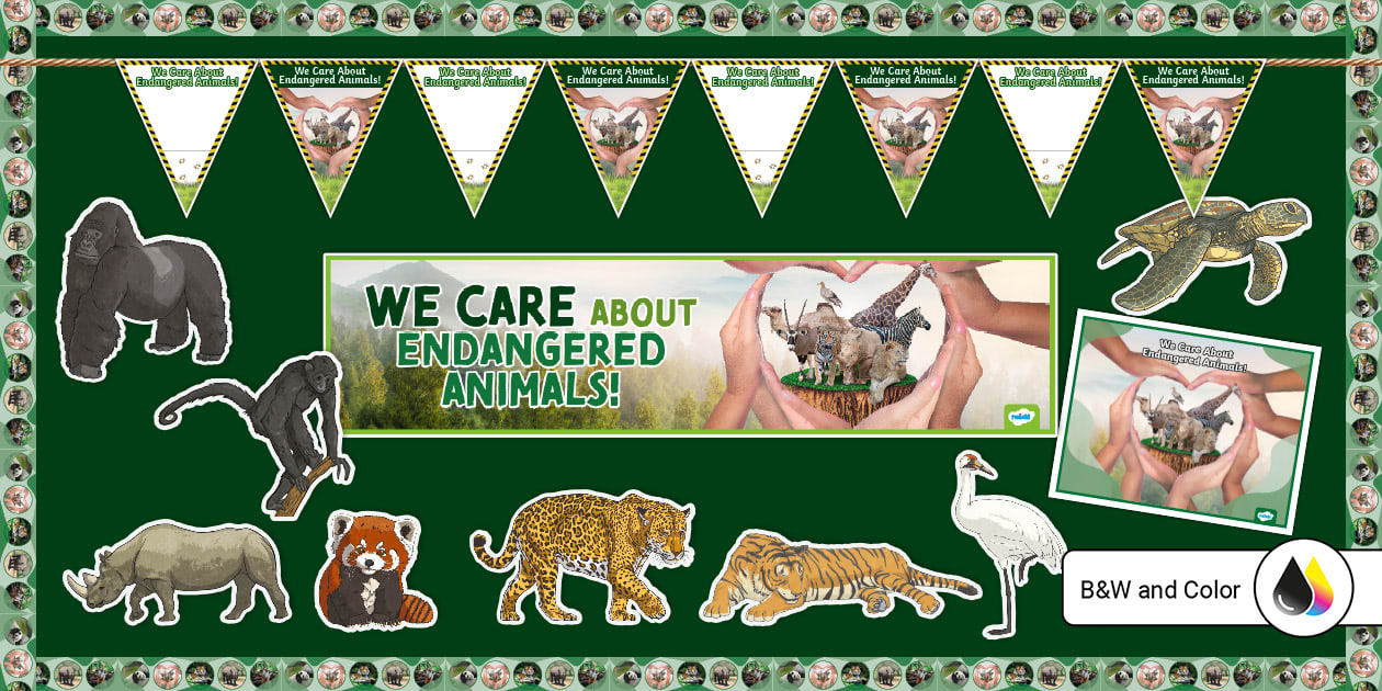 Endangered Animals Bulletin Board Pack - Twinkl