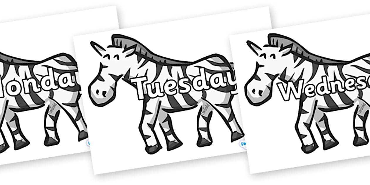 Days of the Week on Zebras (teacher made) - Twinkl
