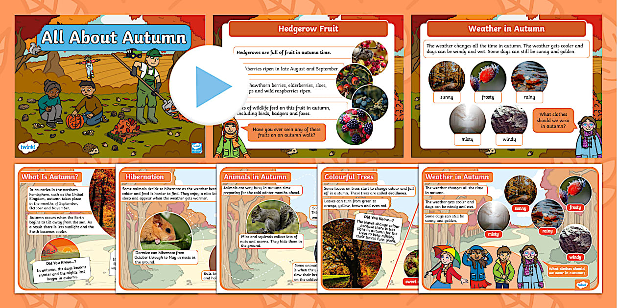 All About Autumn PowerPoint and Fact Files Pack - Twinkl