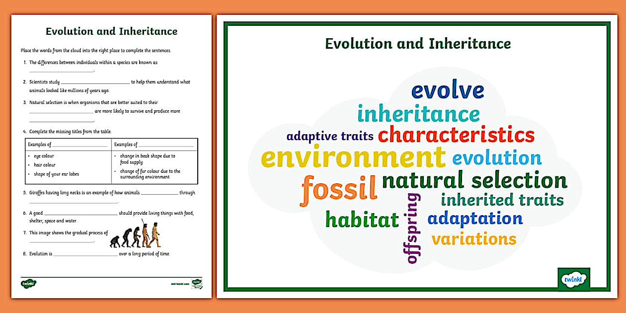 Y6 Evolution and Inheritance Science Key Vocabulary Cloud and Retrieval