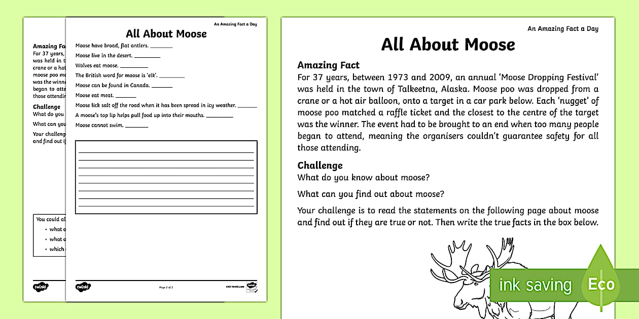 Moose Facts Worksheet / Worksheet (teacher made) - Twinkl