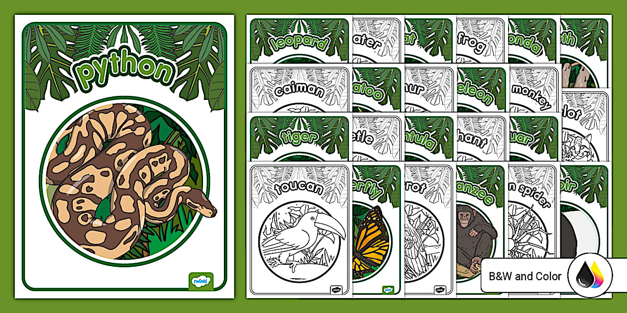 Editable Jungle and Rainforest Animals Posters - Twinkl