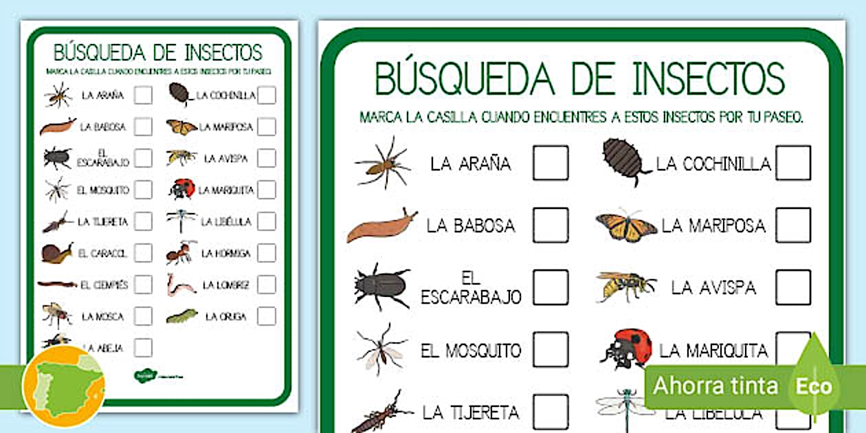 Búsqueda del tesoro: Insectos (teacher made) - Twinkl