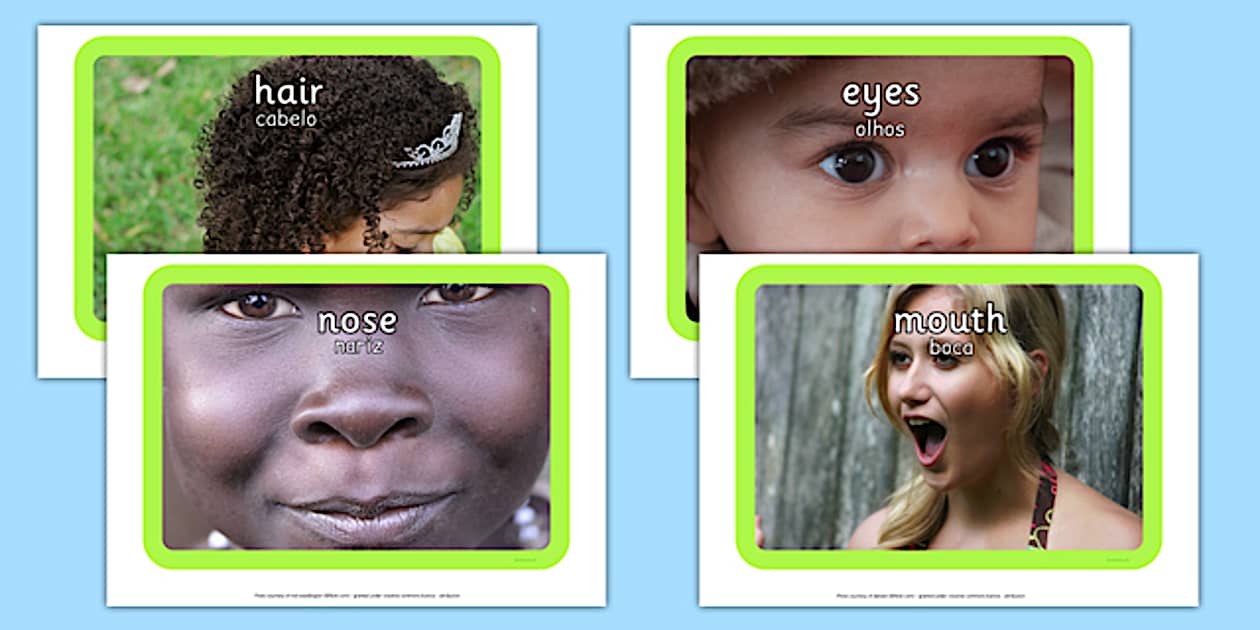 Parts of the Body Photo Pack Portuguese Translation - Twinkl