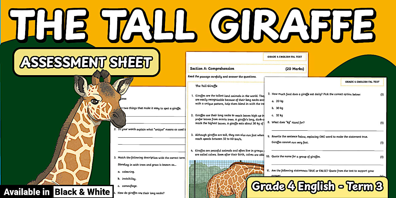 Grade 4 English FAL Giraffe Test Assessment Sheet CAPS