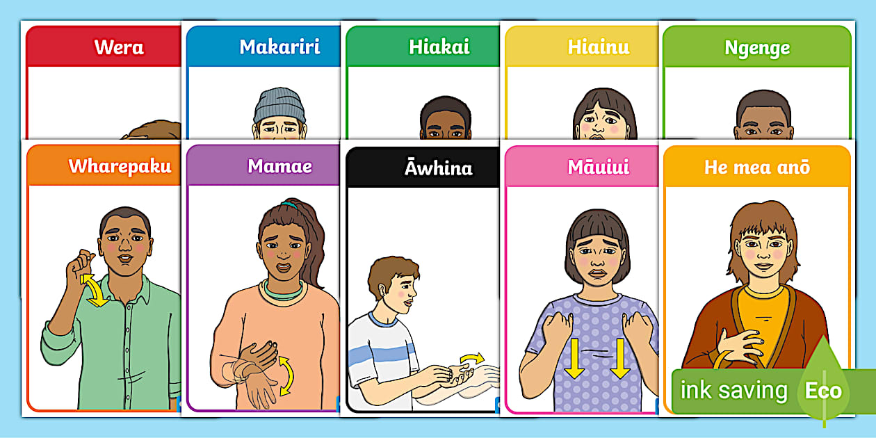 New Zealand Sign Language Useful Signs Display Posters (Te Reo Māori)
