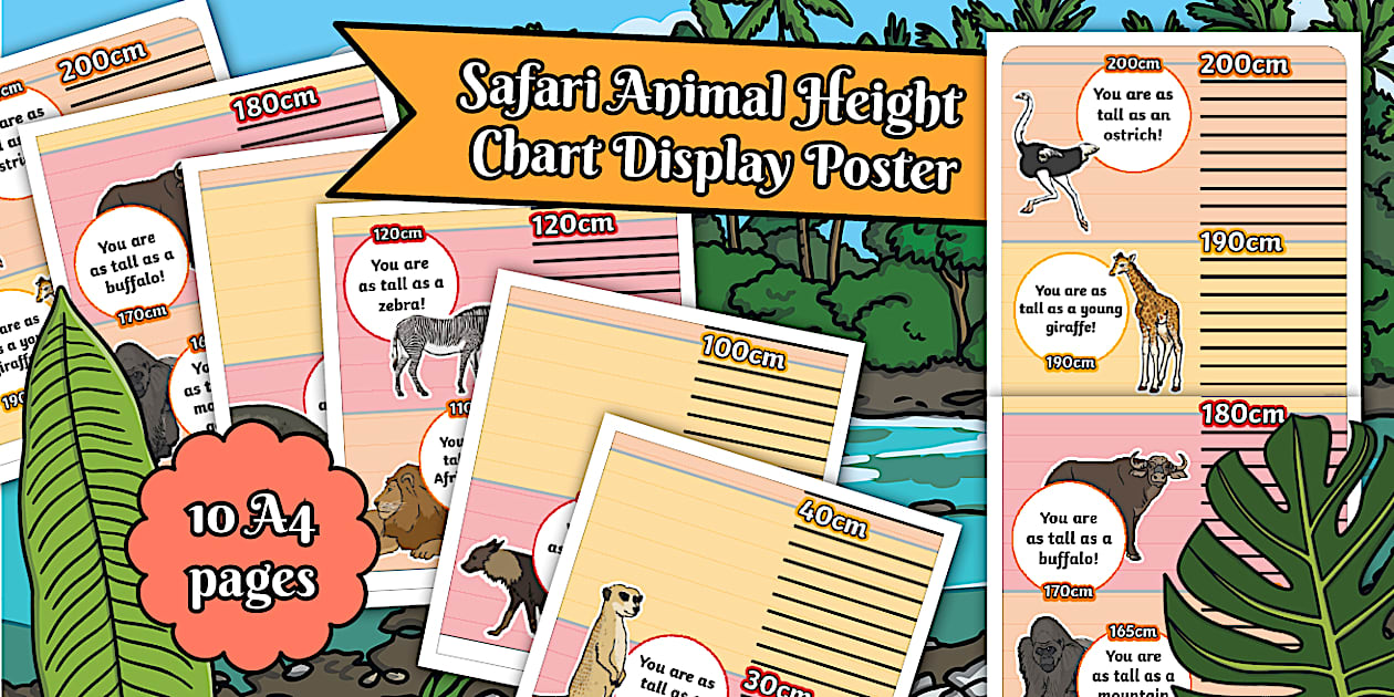 Safari Animal Height Chart Display Poster