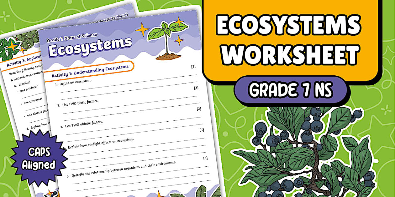 Grade 7 - NS - Ecosystems Worksheet (CAPS Aligned)