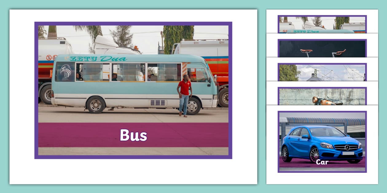 Land Transport Display Photo Pack (teacher made) - Twinkl