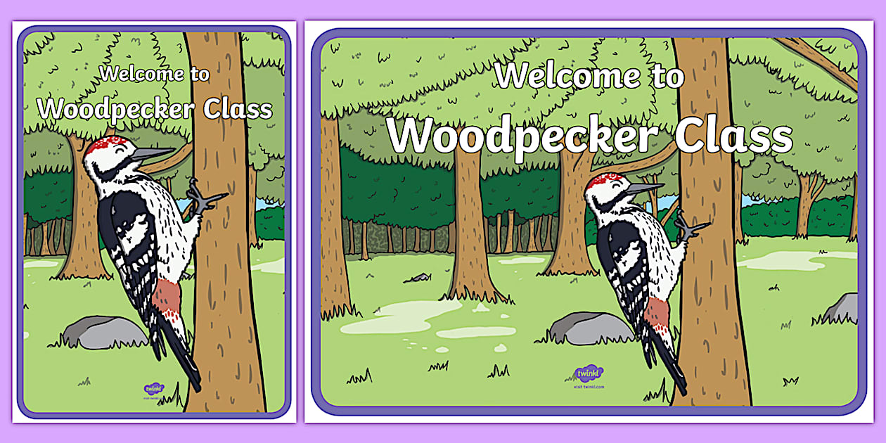 Editable Welcome to Woodpecker Class Display Poster - Twinkl