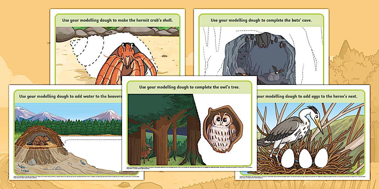 Animal Homes Complete the Picture Modelling Dough Mats