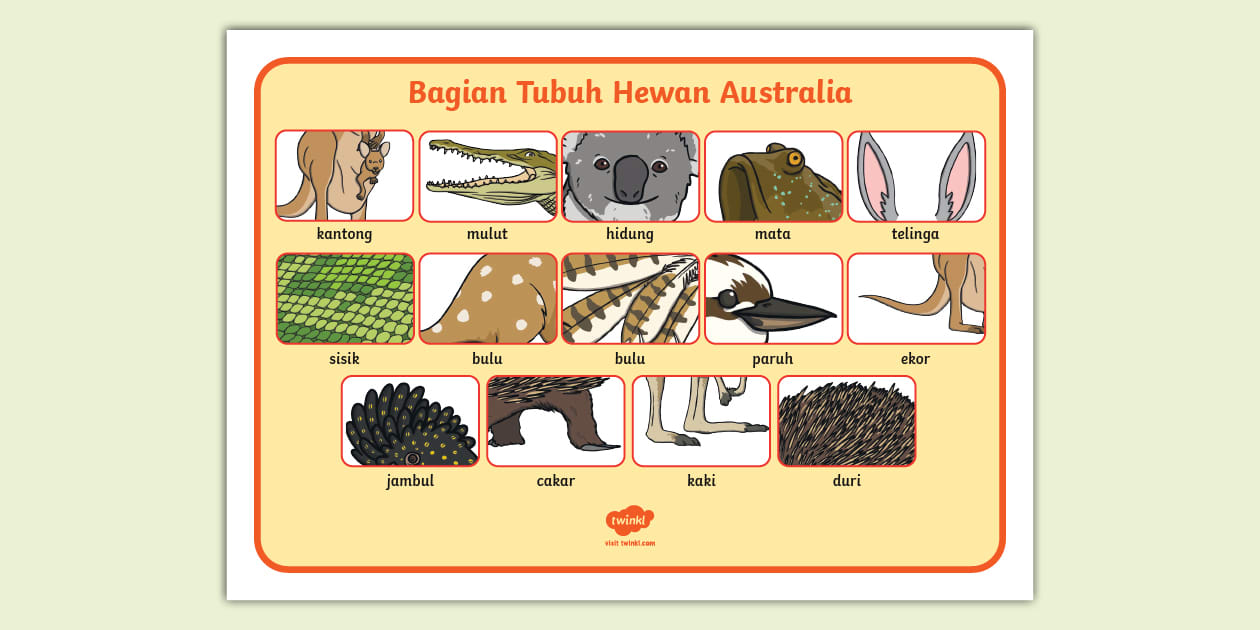 Australian Animals Body Parts Word Mat - Indonesian