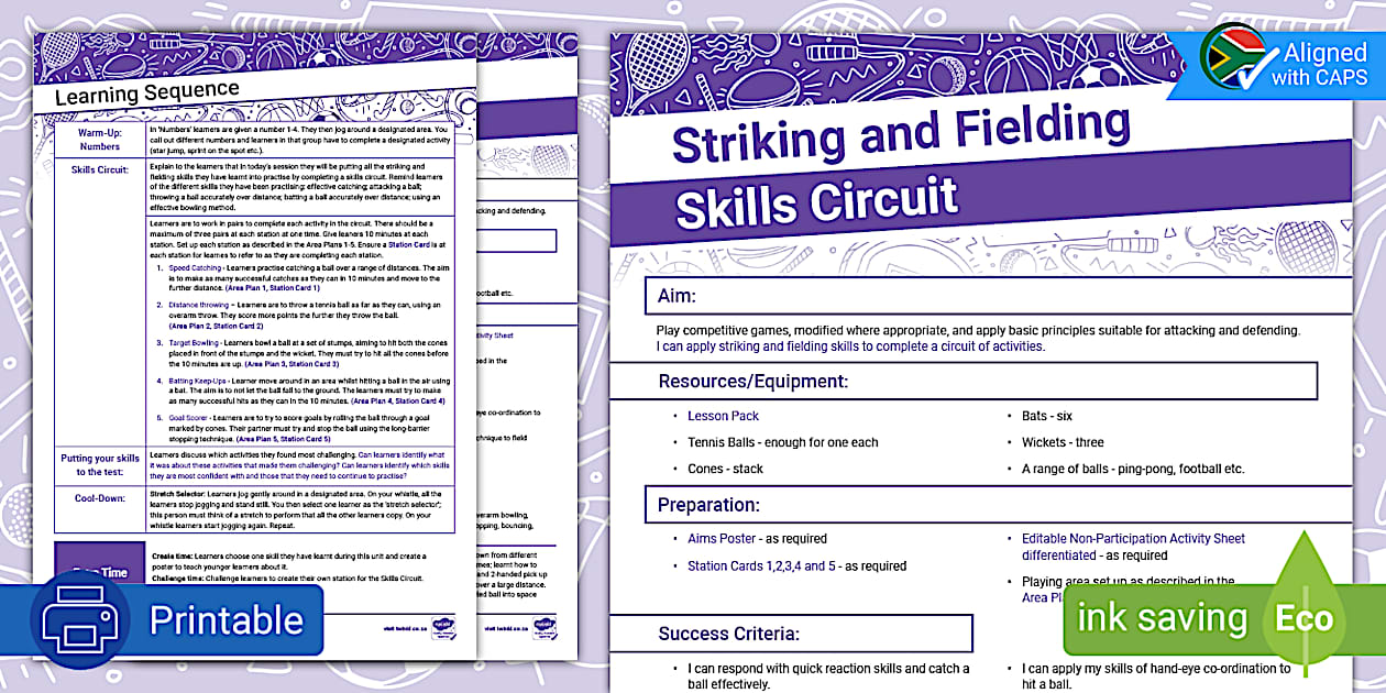 Grade 6 Physical Education Striking and Fielding Lesson Plan