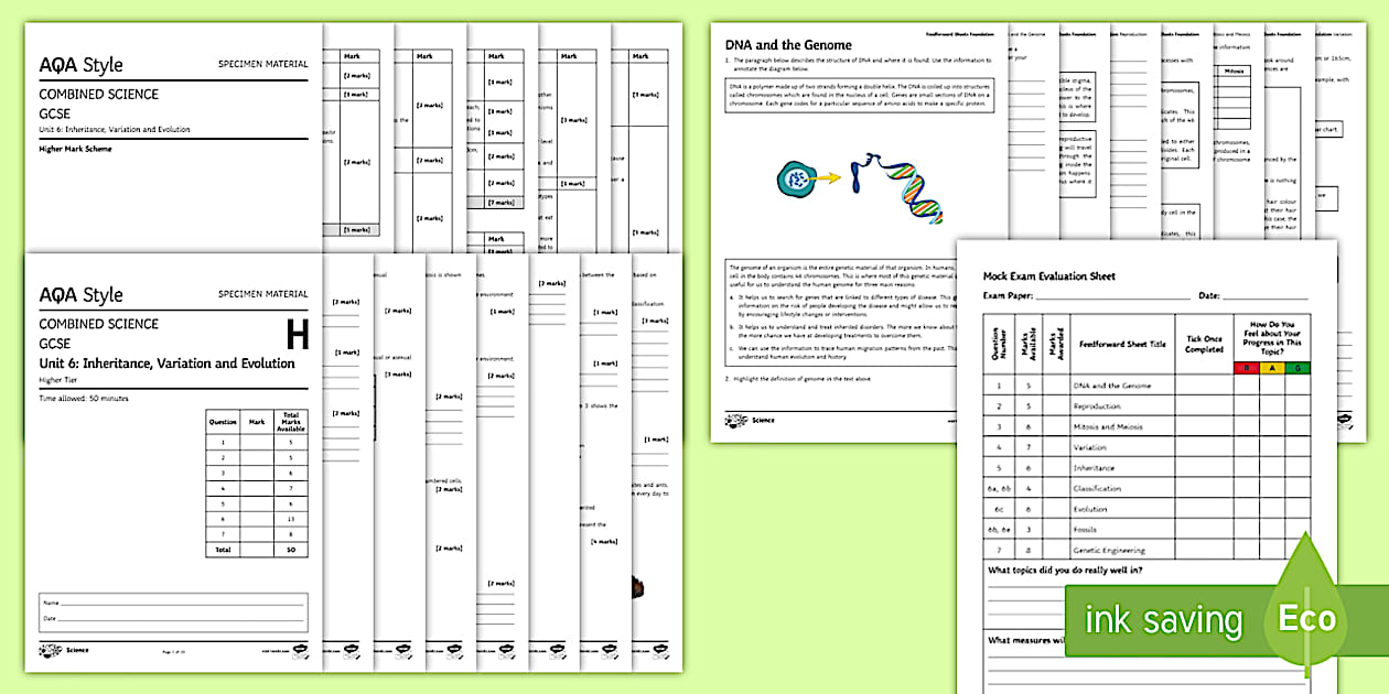 GCSE Inheritance, Variation and Evolution Higher Assessment Pack