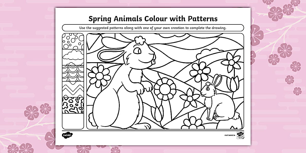 Spring Animals Colour with Patterns Activity (teacher made)