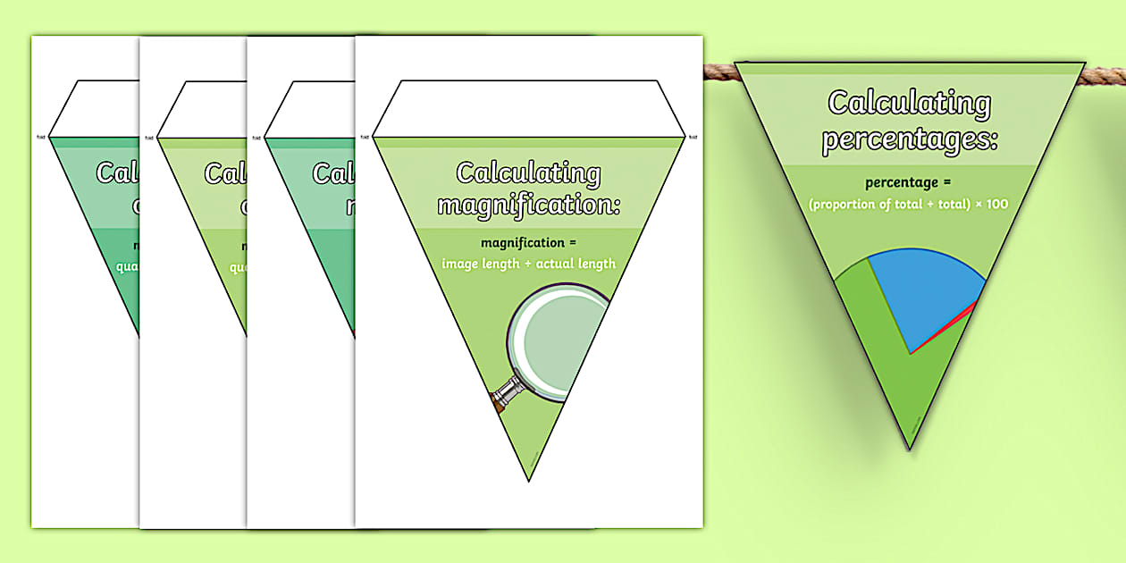GCSE Science: Biology Written Equations Display Bunting