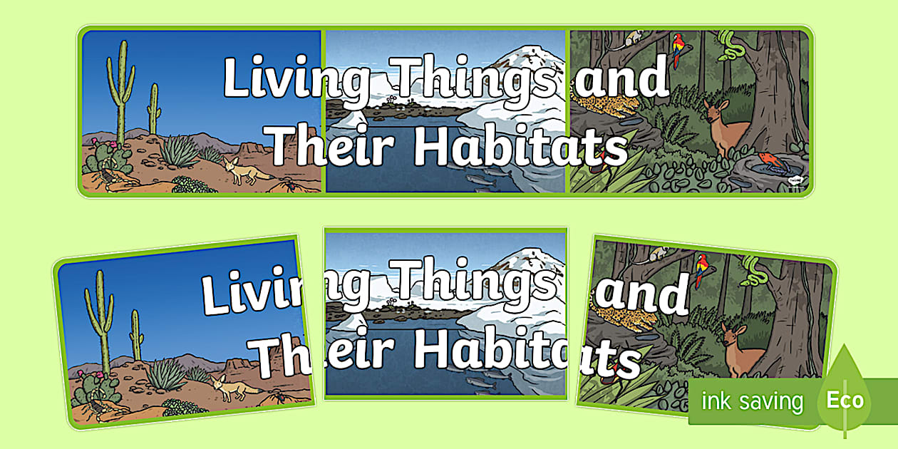 Living Things and Their Habitat Display Banner - Twinkl