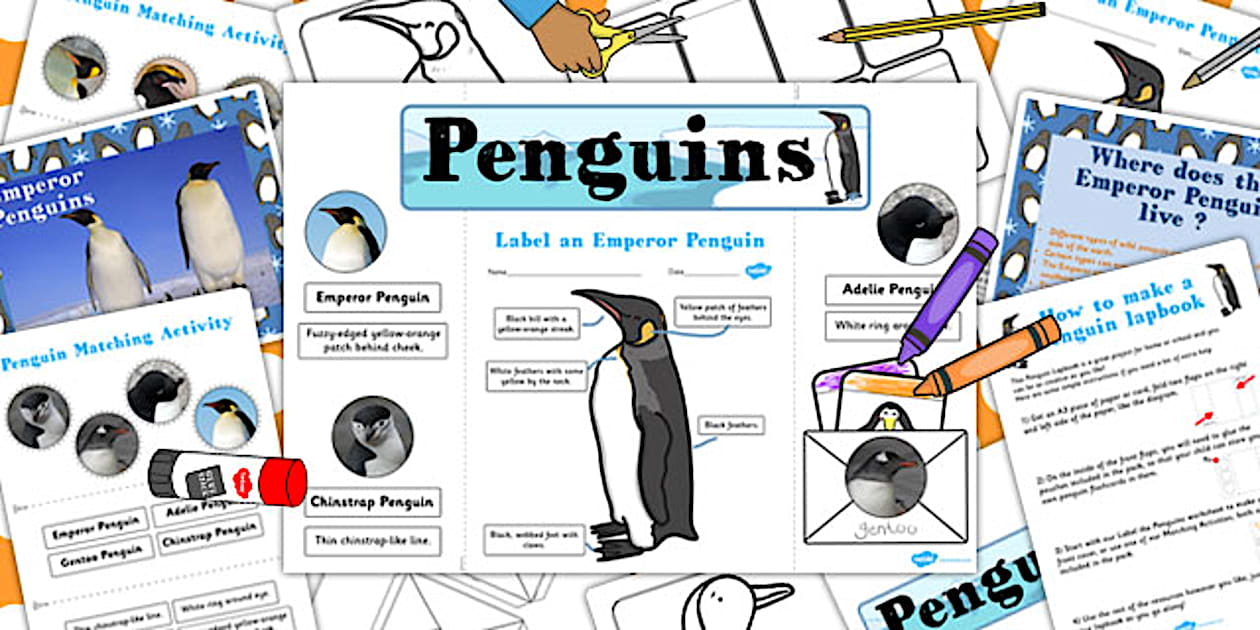 Penguin Lapbook Pack (teacher made) - Twinkl