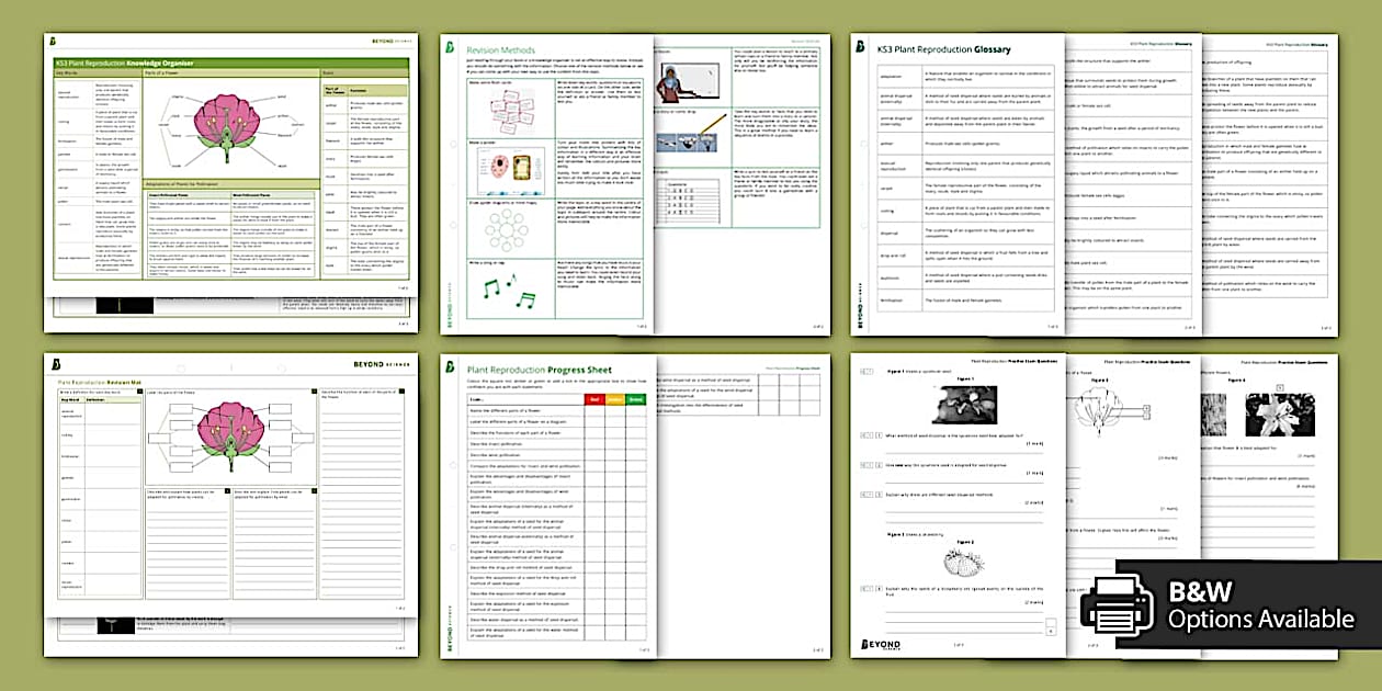 Plant Reproduction Revision Pack | KS3 Science | Beyond