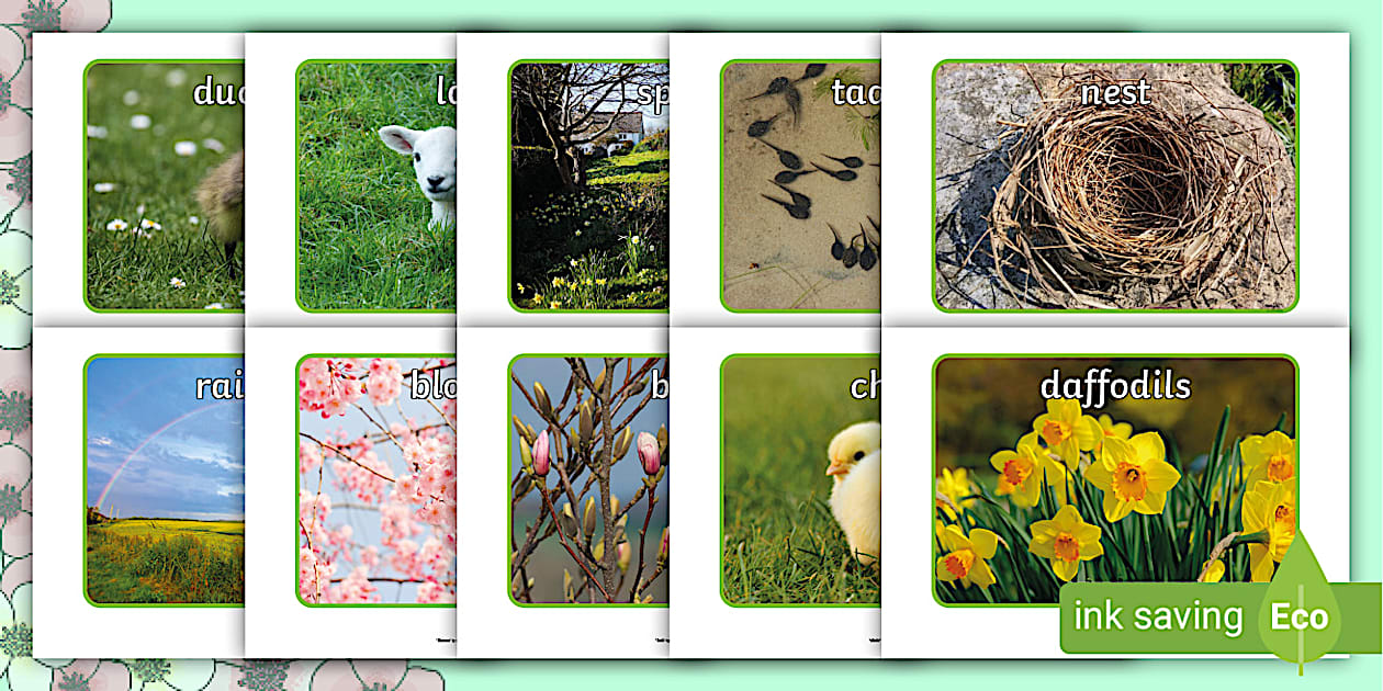 Cursive Spring-Themed Pictures for Displays - Twinkl