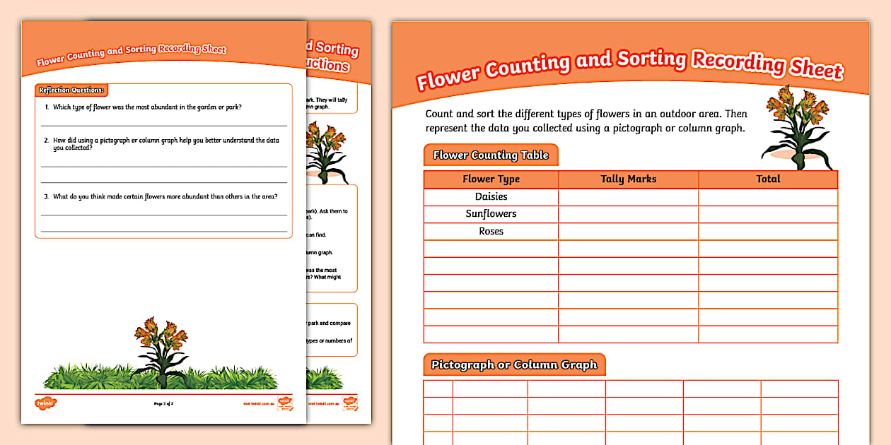 Outdoor Maths: Flower Counting and Sorting (teacher made)