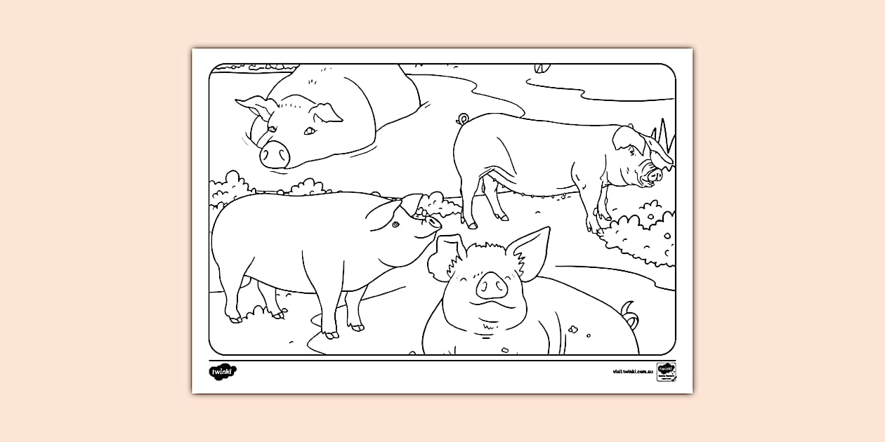 Pigs Colouring Sheet (Teacher-Made) - Twinkl