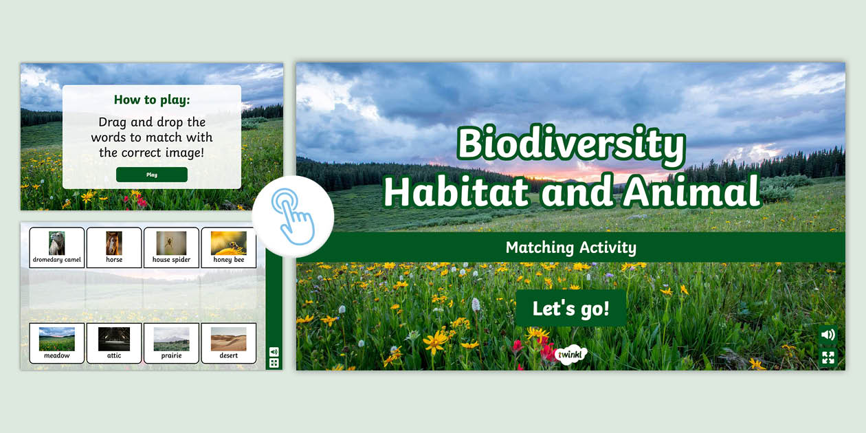 Biodiversity Habitat and Animal Interactive Matching Game