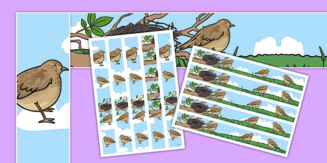 Skylark Themed A3 Display Borders (teacher made) - Twinkl