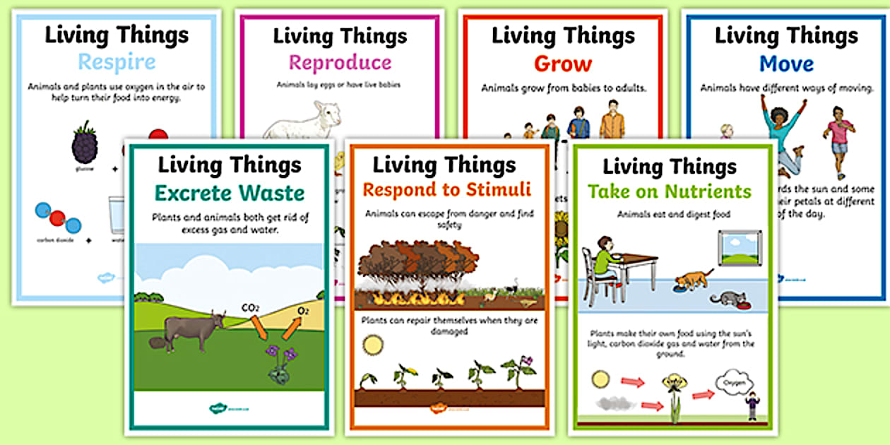 Characteristics of Living Things A4 Poster Set - Twinkl