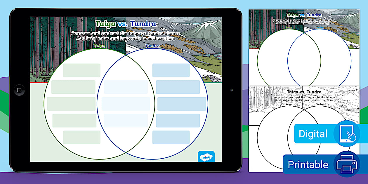 Taiga vs. Tundra Compare Contrast Worksheet for 6th-8th Grade