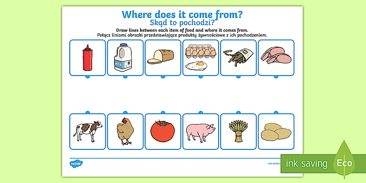 Where Does Food Come From? Worksheet / Worksheet English/Polish - Where ...
