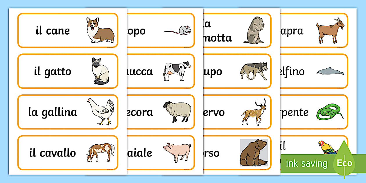 Italian Animals Word Cards (teacher made) - Twinkl