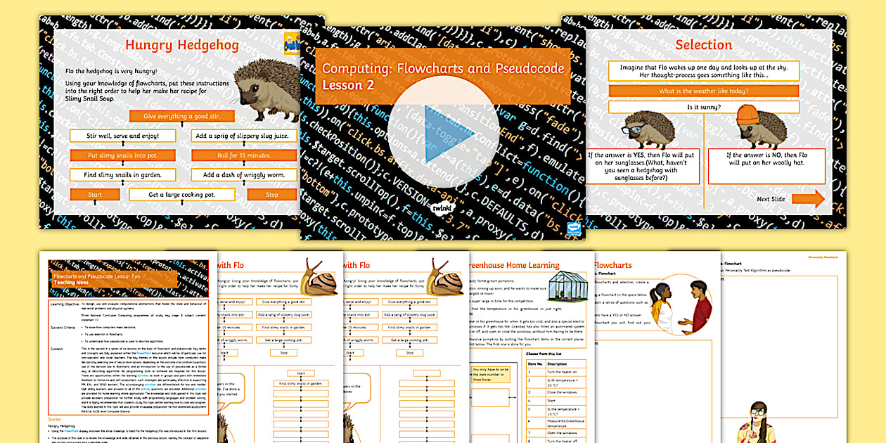 Flowcharts and Pseudocode: Lesson 2 (teacher made) - Twinkl