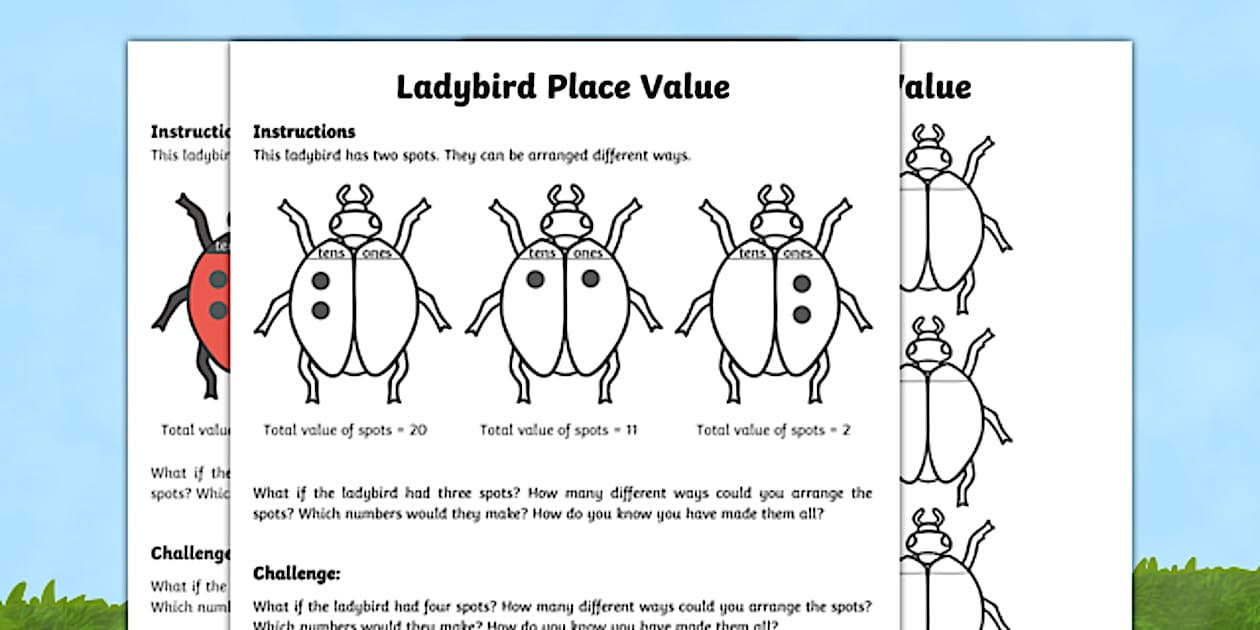 Ladybird Place Value Worksheet / Worksheet Pack, worksheet