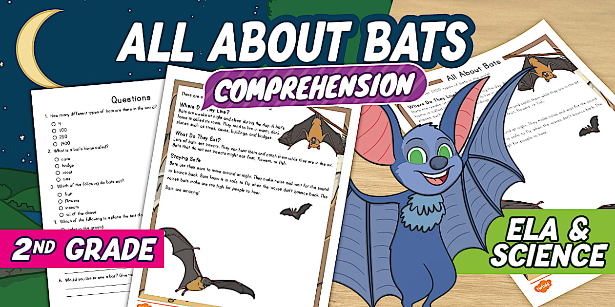 Reading Comprehension | Grade 2 | Non-fiction Reading