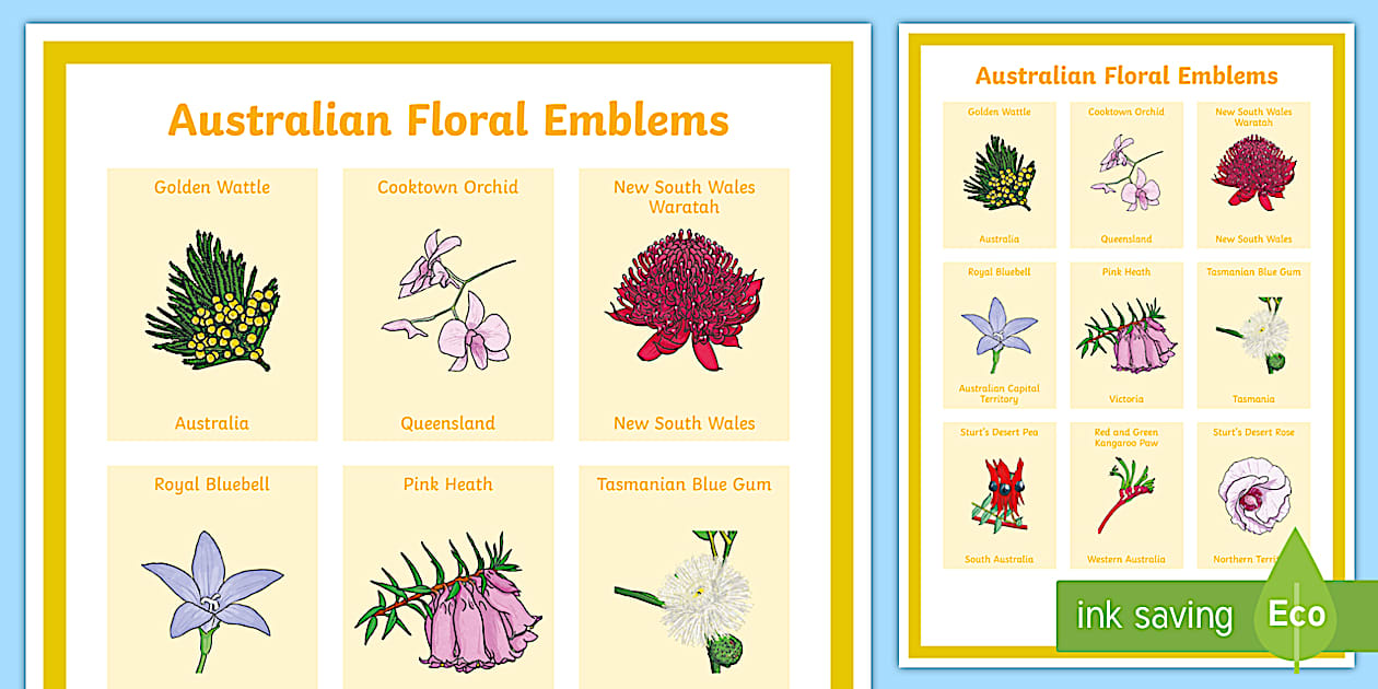 Floral Emblems of Australian States Poster - Australia Day