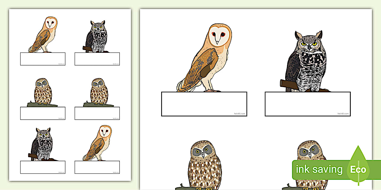 Editable Self Registration owls Labels (teacher made)