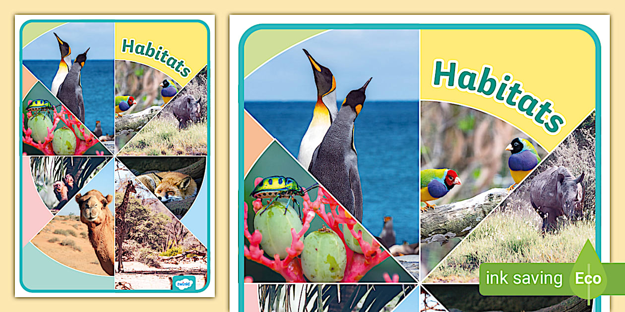Habitats Front Cover (teacher made) - Twinkl