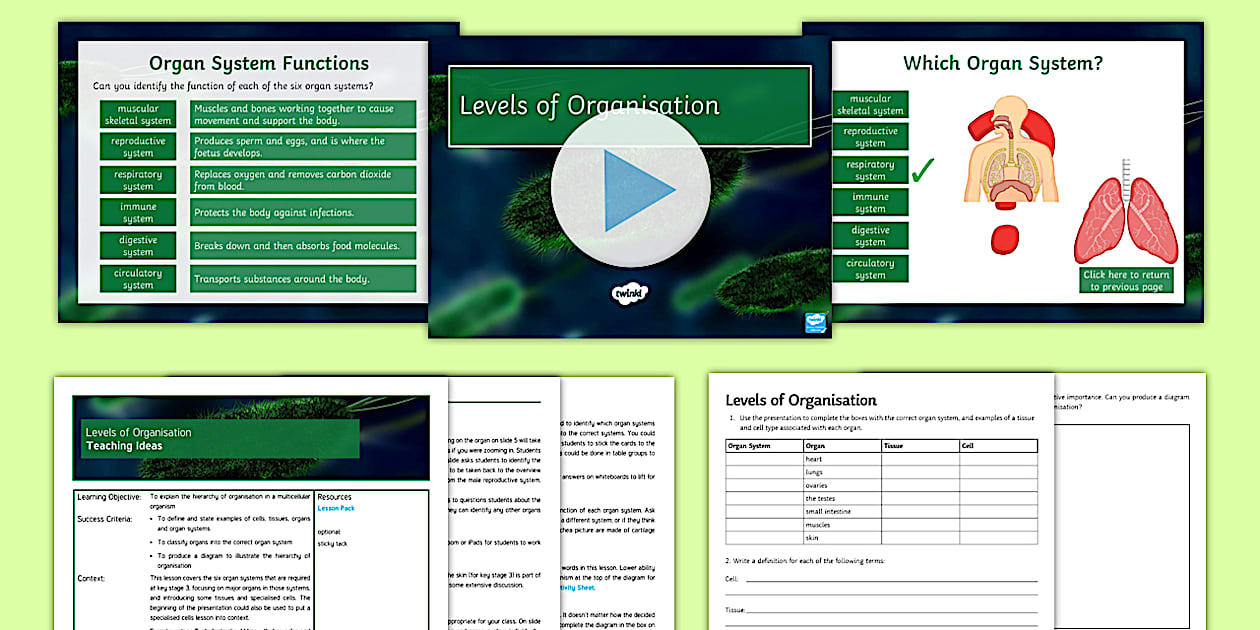 Cells Tissues Organs Organ Systems Activity Biology | Beyond