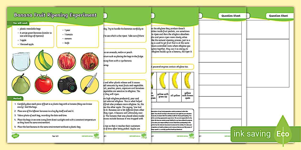 Banana Ripening Experiment - Primary Science Resources