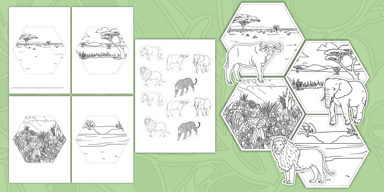 Wild Animals Hexagon Display Colouring Activity - Twinkl