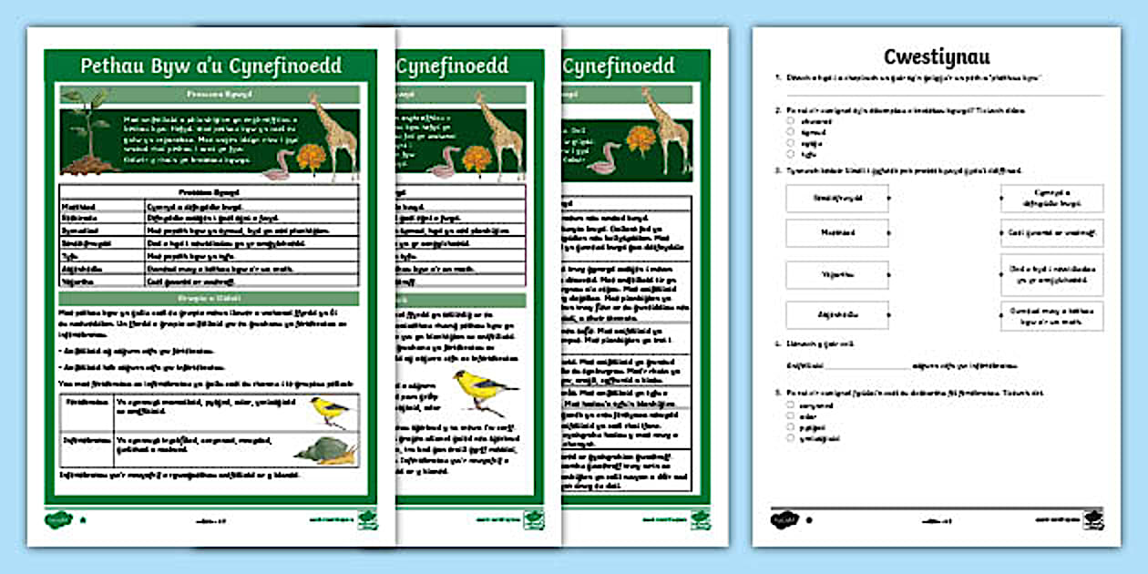 Pethau Byw a'u Cynefinoedd: Darllen a Deall Gwahaniaethol