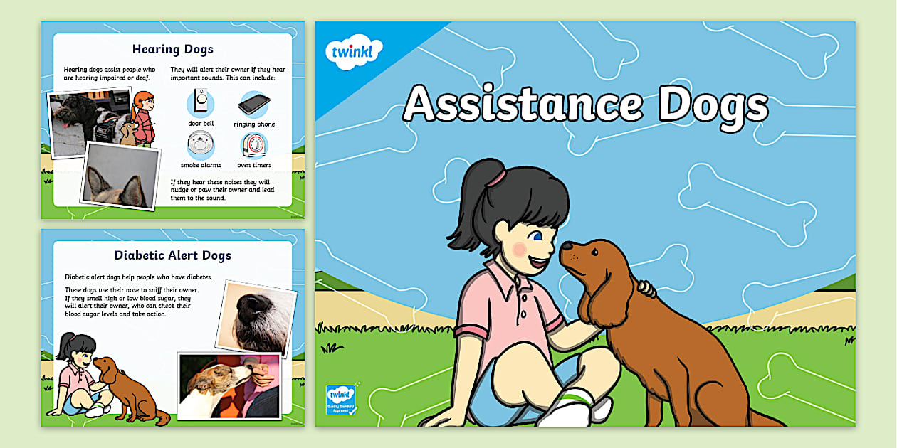 Assistance Dogs PowerPoint - Year 1 HASS