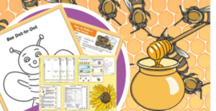When is World Bee Day 2026? | Twinkl CA Teaching Calendar