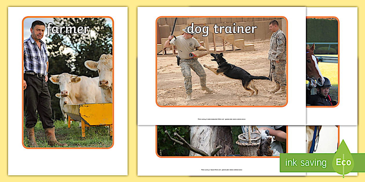 Working with Animals Display Photos - Primary Resources