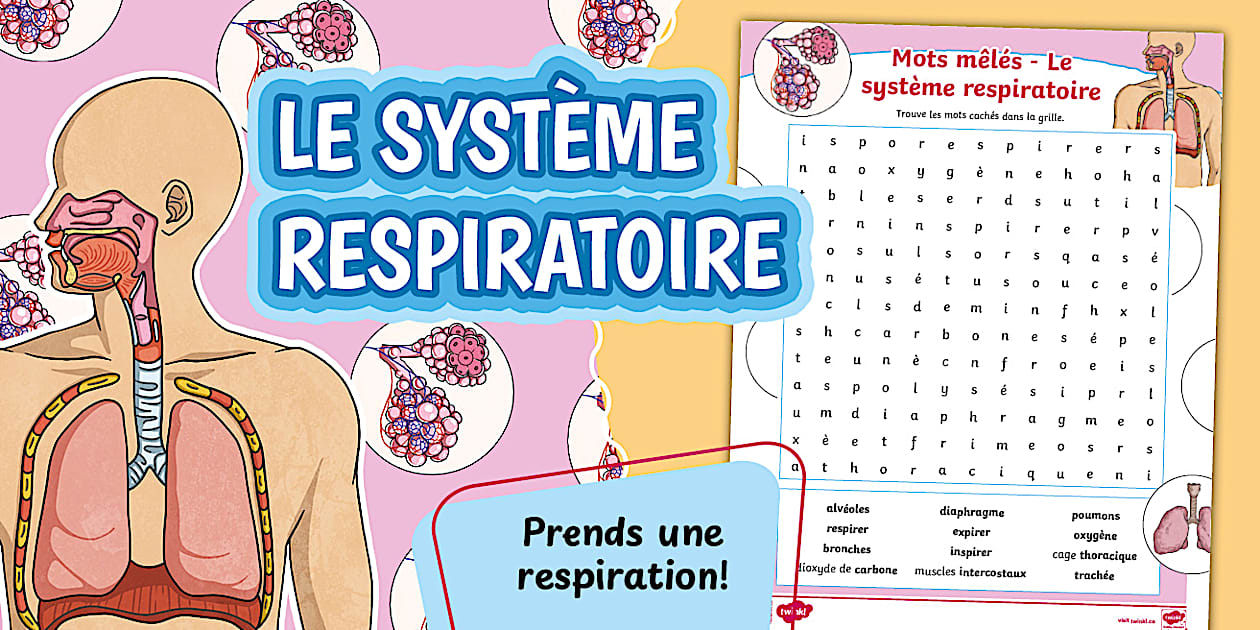Mots mêlés : Le système respiratoire - Twinkl